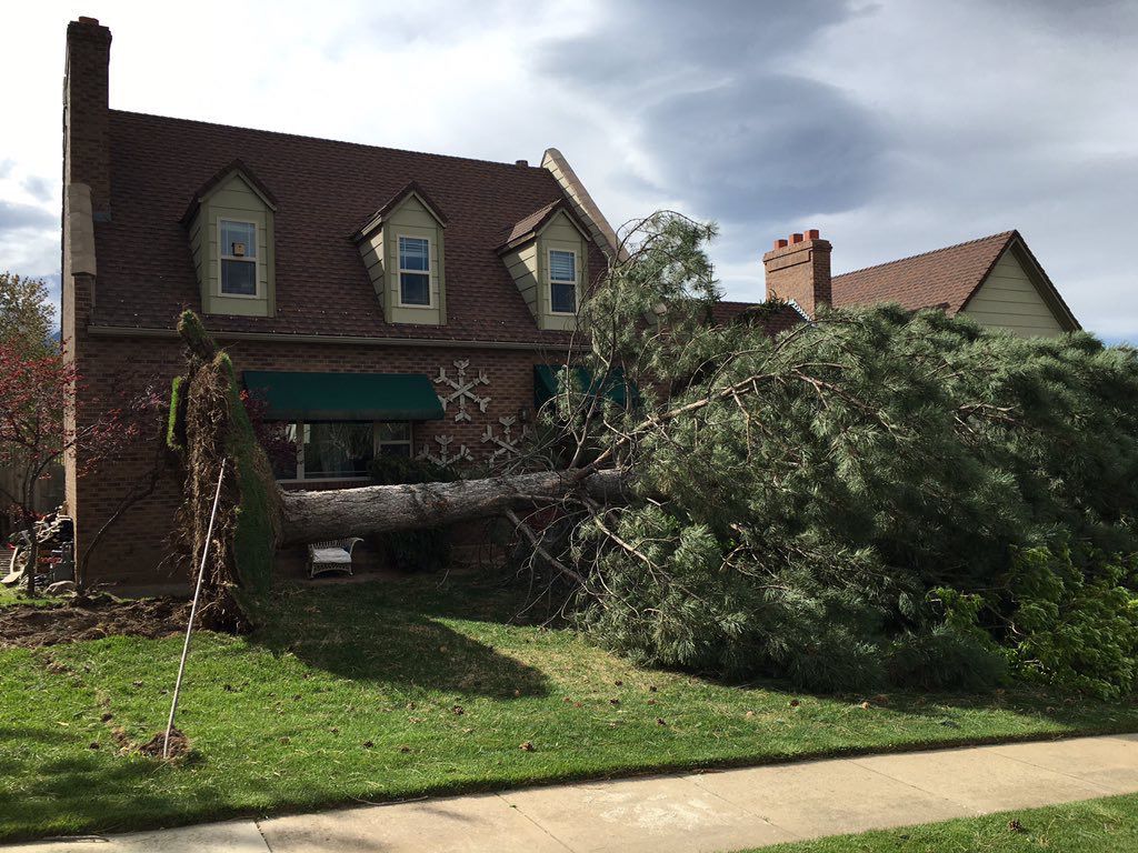 Wind storm causes power outages and damage in Northern Utah | News ...